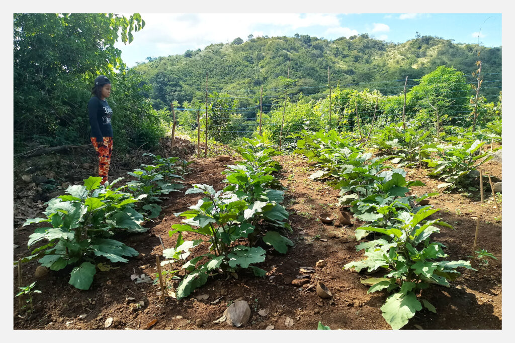 Programs & Initiatives – MBCFI