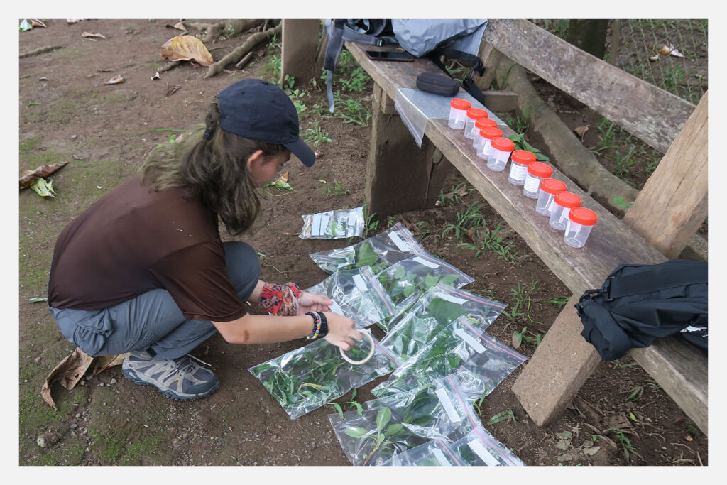 Programs & Initiatives – MBCFI