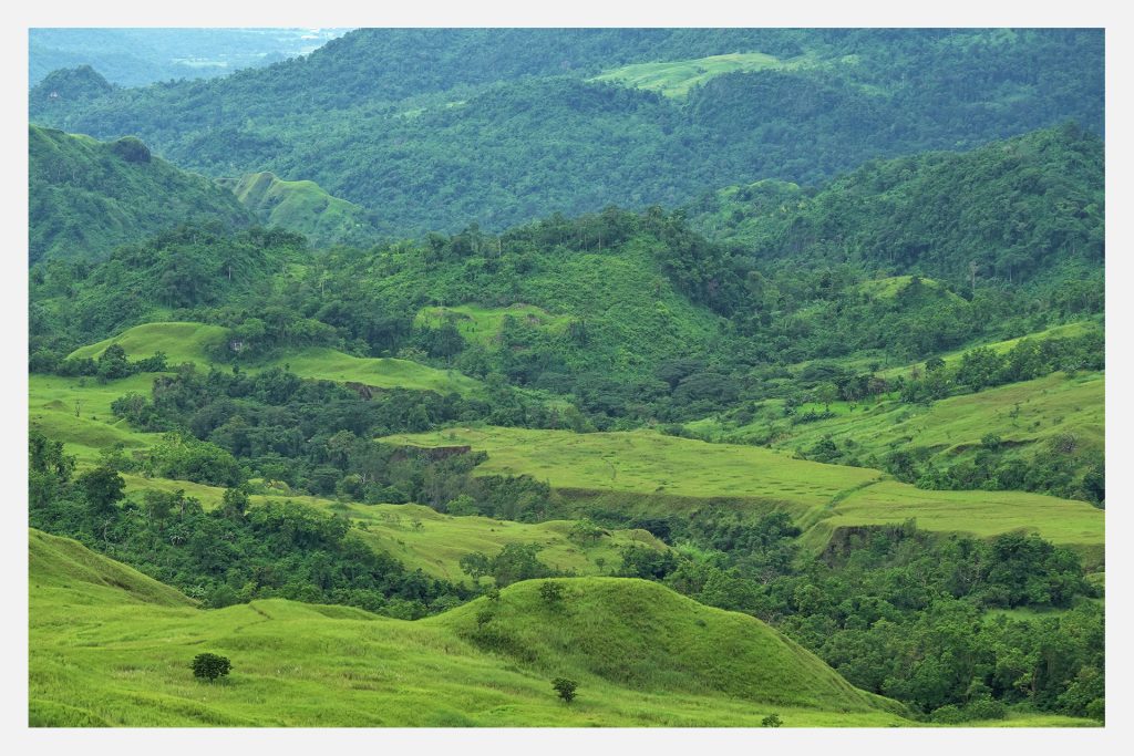 Programs & Initiatives – MBCFI