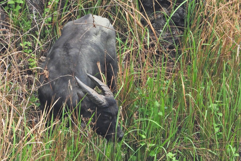 Programs & Initiatives – MBCFI