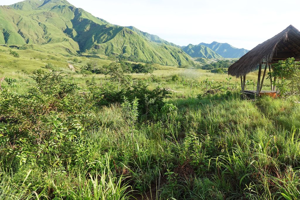 Programs & Initiatives – MBCFI